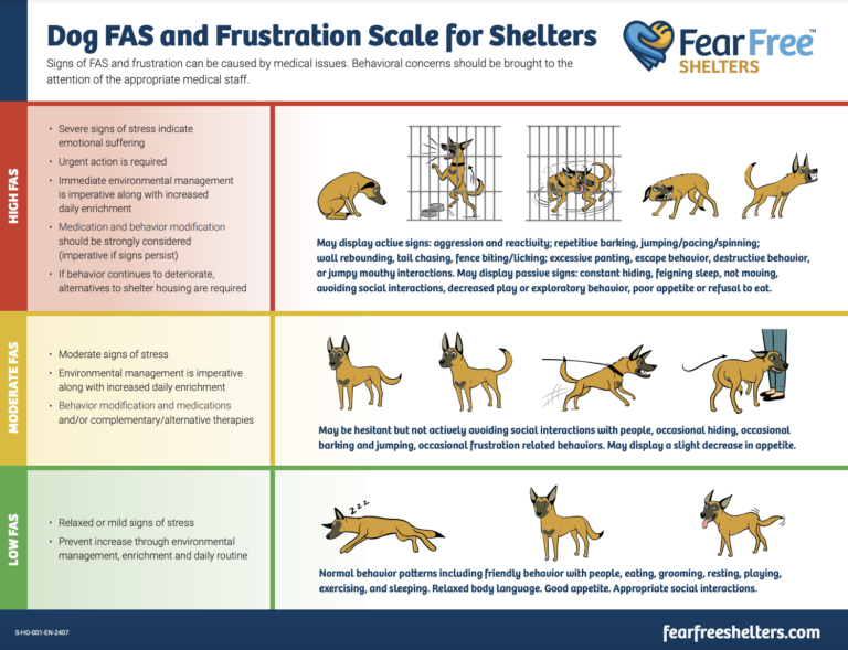 Fear Free Shelter Program | Educational Resources
