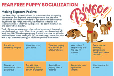 Fear Free Shelter Program | Educational Resources