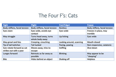 Fear Free Shelter Program | Educational Resources