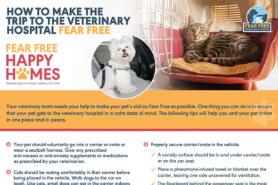 Fear Free Shelter Program | Educational Resources