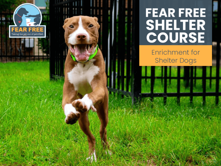 Bonus Courses - Fear Free Shelters