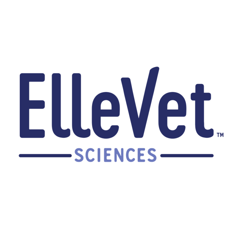 Fear Free Shelter Program | Learn How to Reduce Stress in Shelter Pets